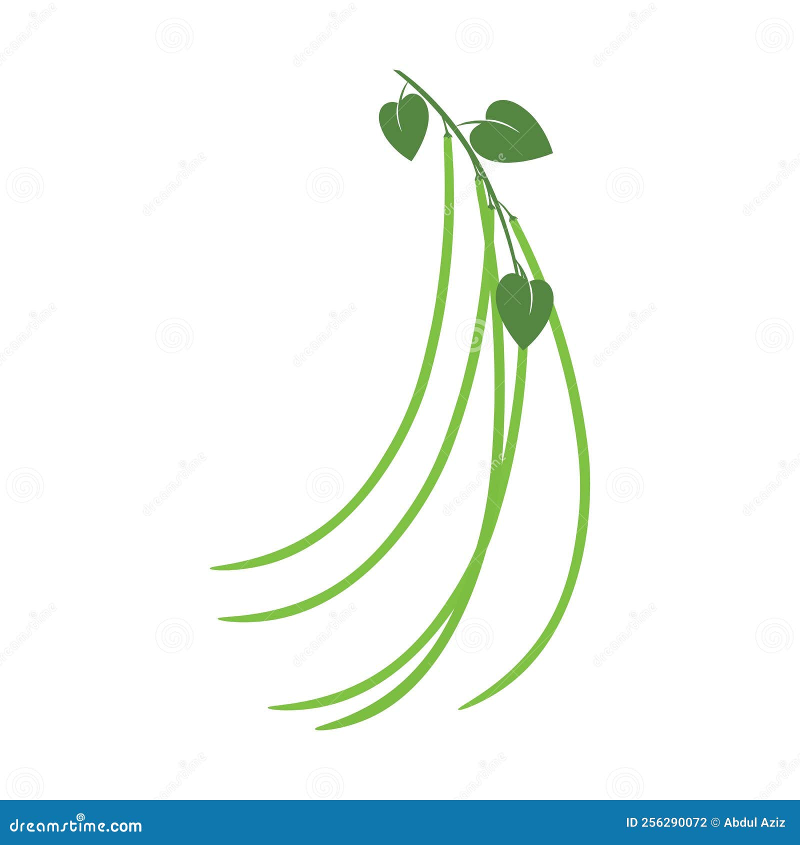 Long Bean Icon Template Illustration Stock Vector - Illustration of ...