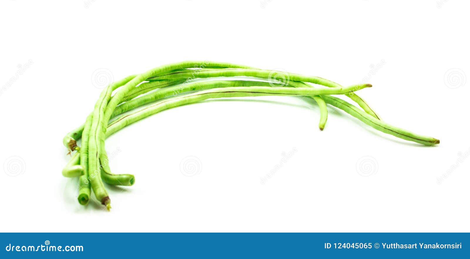 Long Bean Isolated on the White Background Stock Image - Image of ...