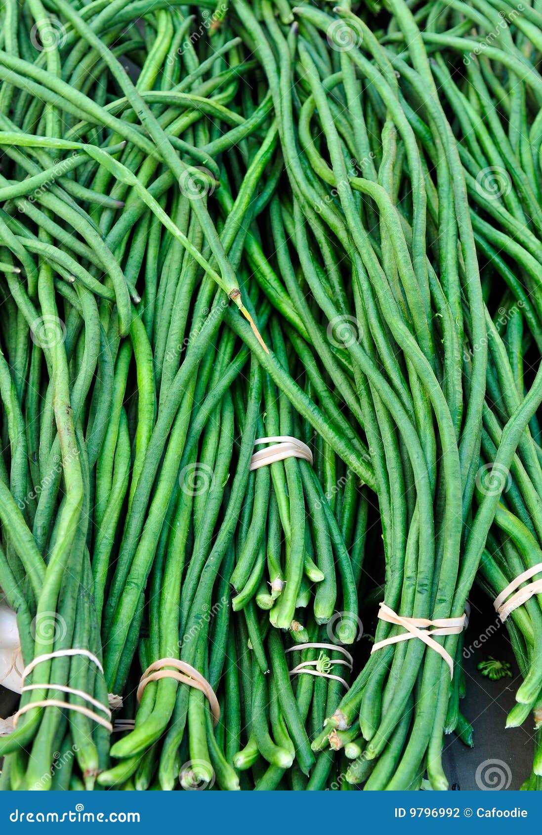 Long beans stock photo. Image of asparagus, crop, vegetarian - 9796992