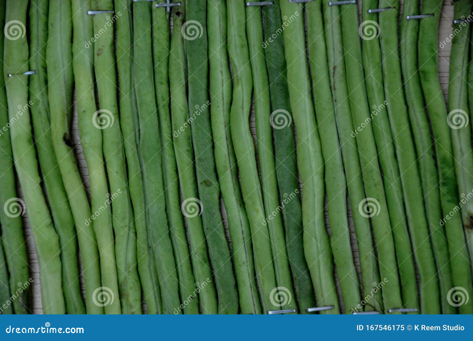 Long Beans are Arranged Vertically Neatly Stock Image - Image of curved ...