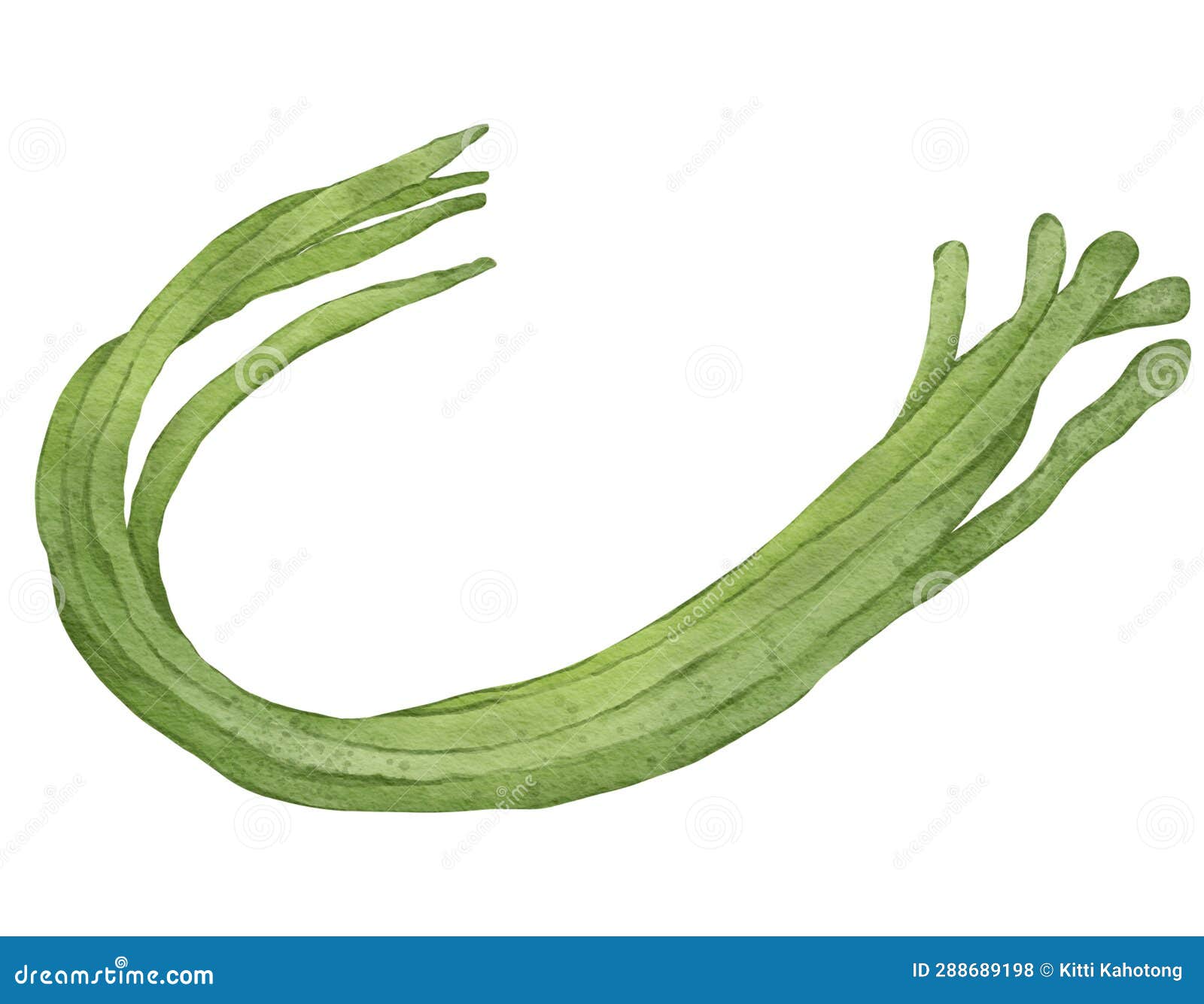 Long Beans Watercolor Illustration Isolated Element Stock Illustration ...