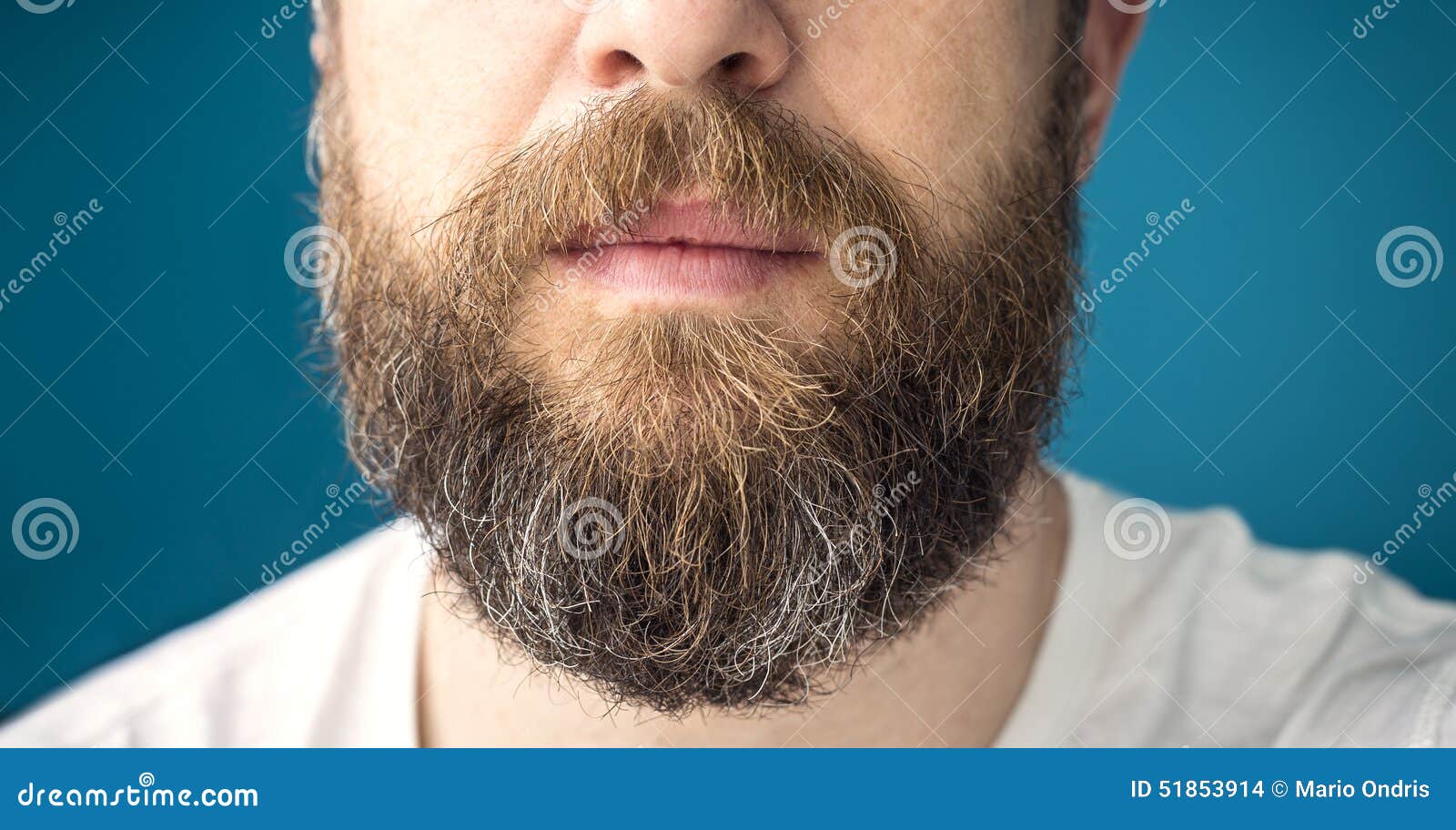 Man With Long Beard Enjoy Ice Cream While Sits On Grass Delicacy