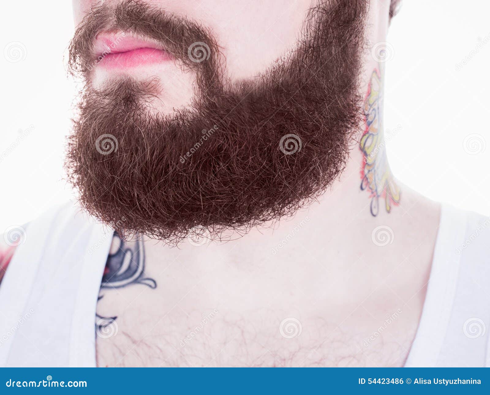 Long Beard and Mustache Man Stock Photo - Image of fashion, expressive ...