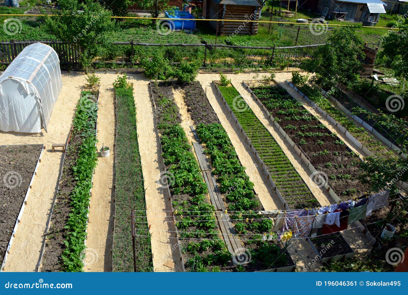 Long Beds, Wide Furrows and a Greenhouse in the Garden. Subsidiary Plot ...