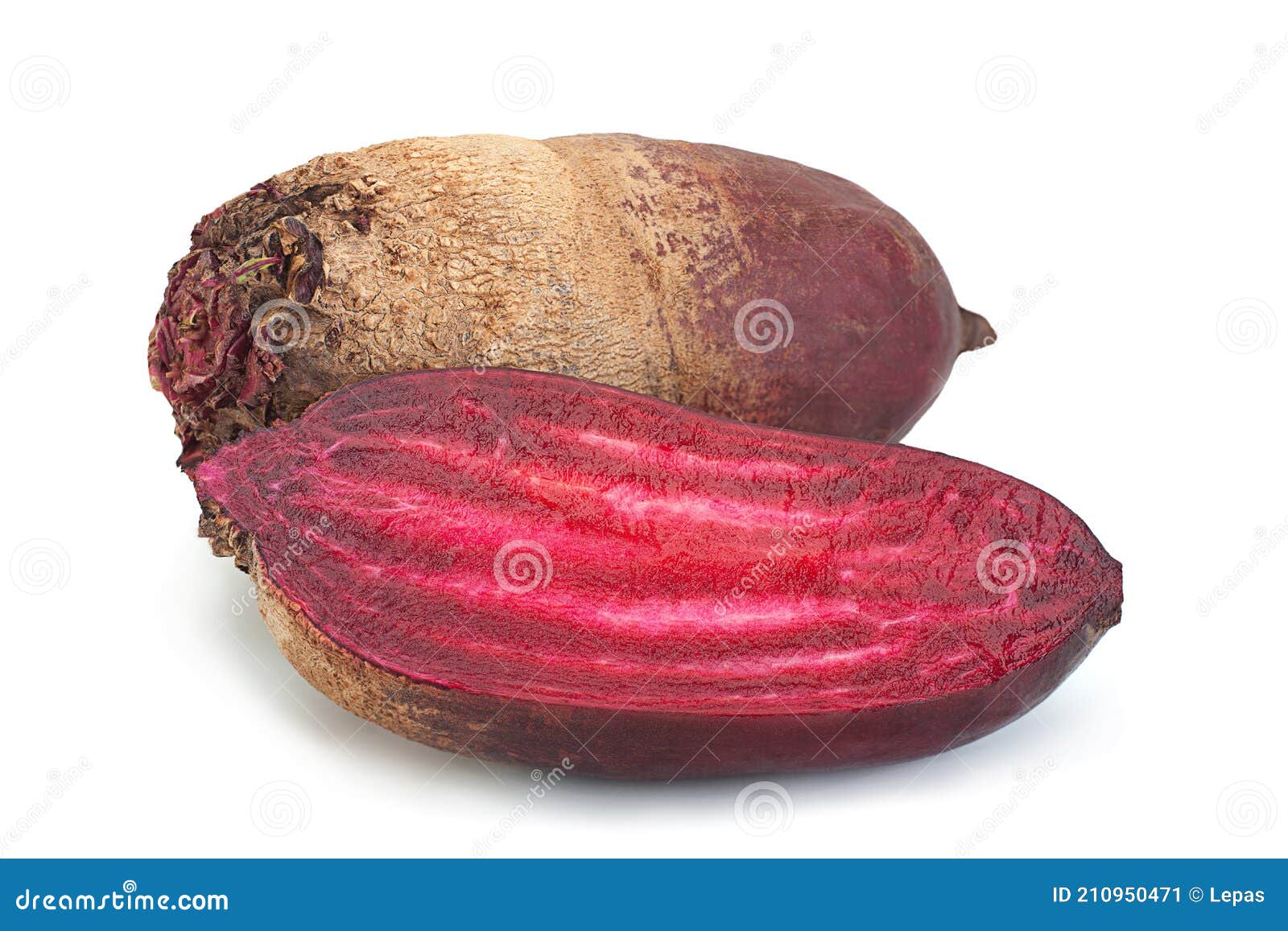 Long beet-root closeup stock image. Image of food, ingredient - 210950471