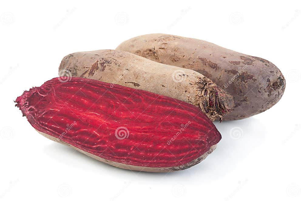 Long Beet Root Vegetable on White Stock Image - Image of plant ...