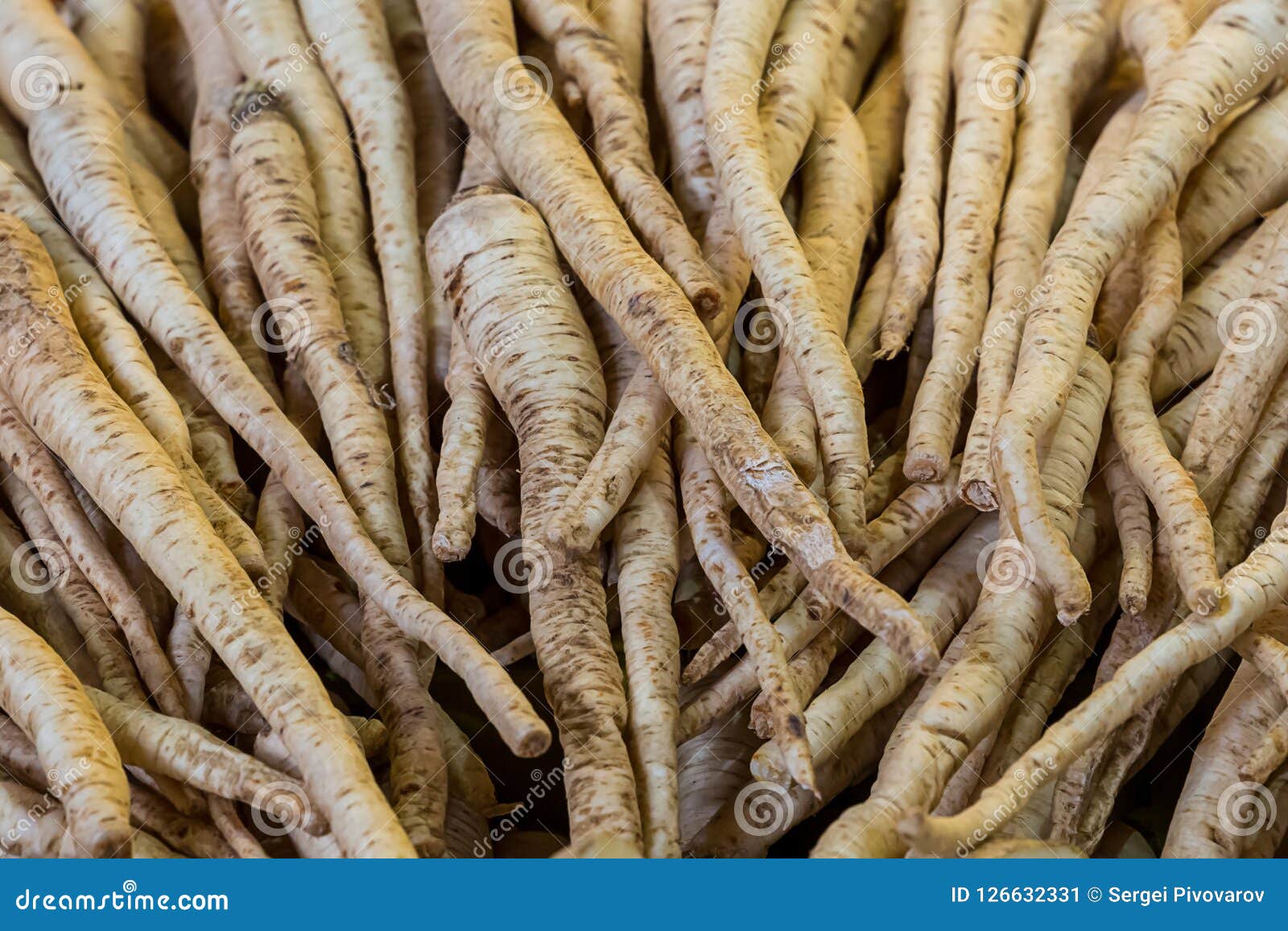 Long Beige Parsley Roots are Spread Out with a Solid Background Stock ...