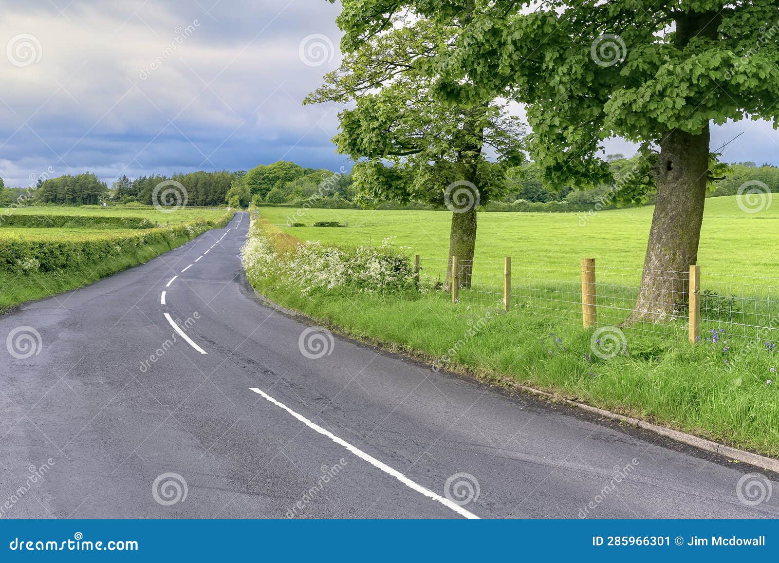 A Long Bendy Scottish Road with Hazard Warning Lines at the Centre of ...