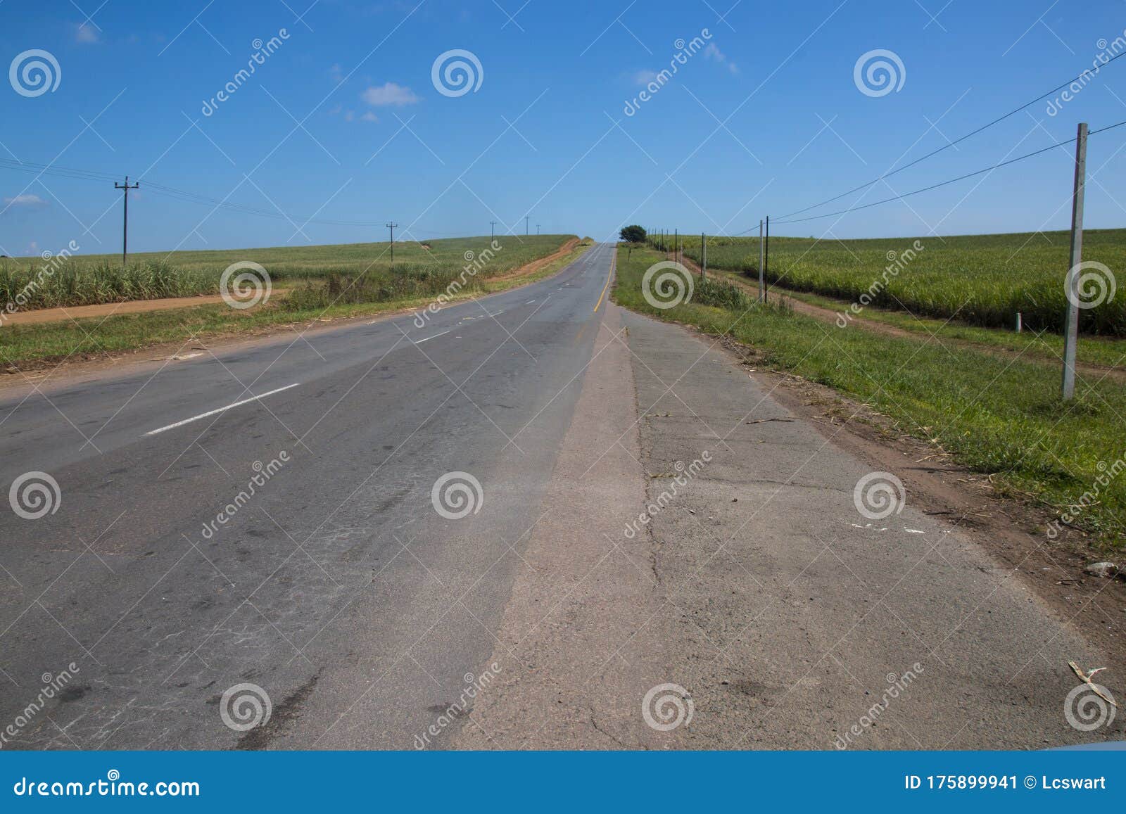 Long Bitumen Road Bordered by Sugar Cane and Electricity Poles Stock ...