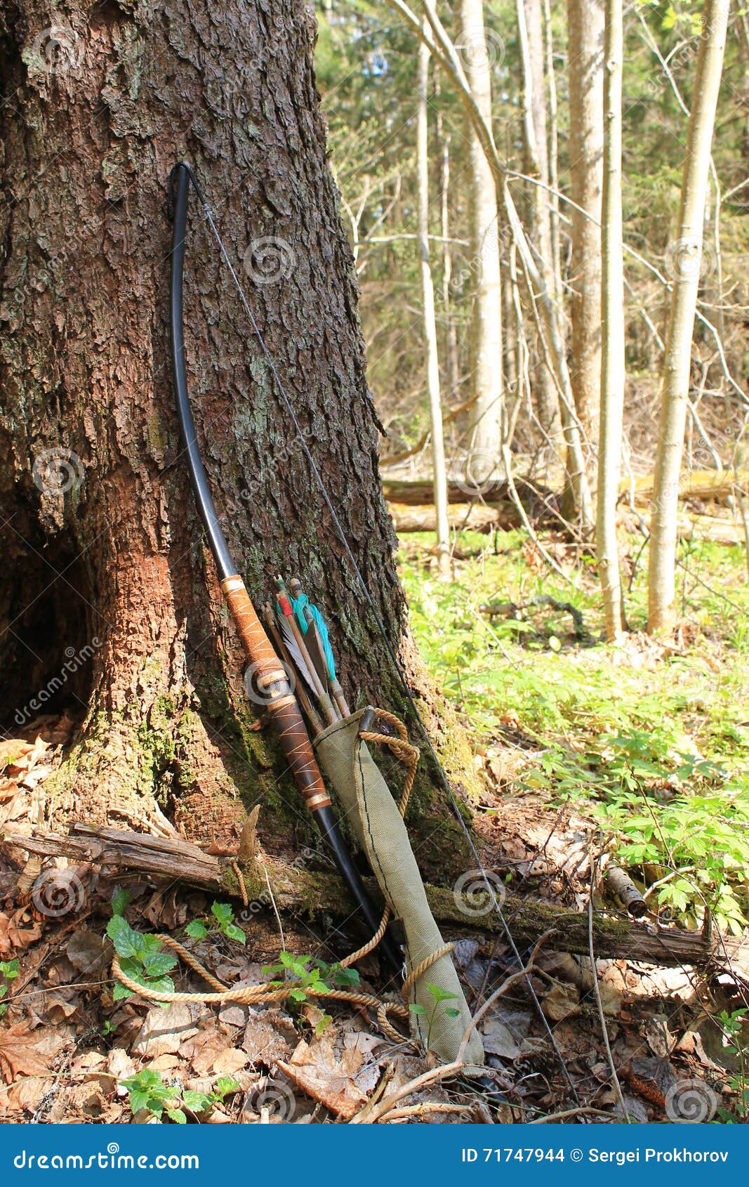 Long Bow and Arrows Near a Tree in Summer Forest Stock Photo - Image of ...