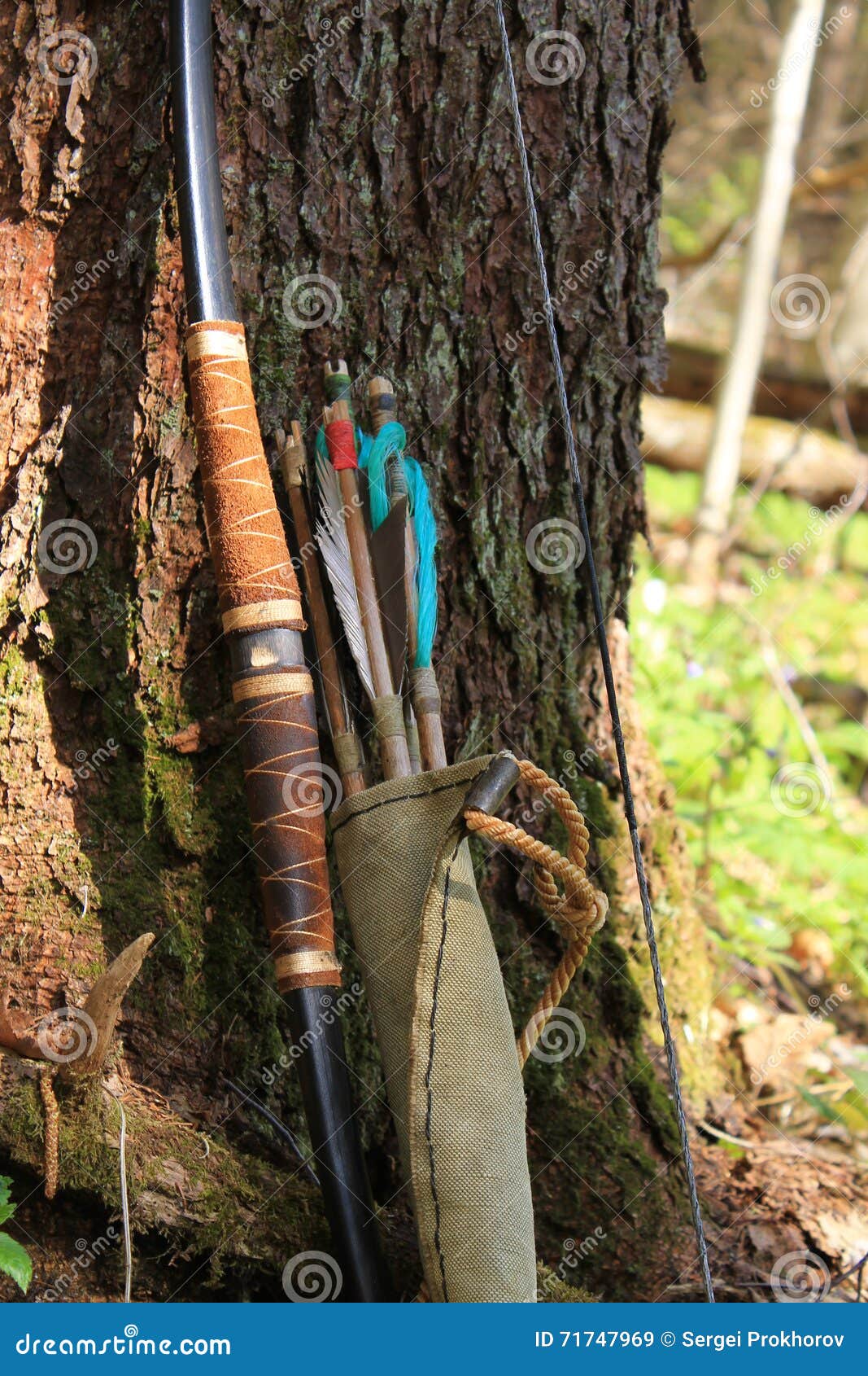 Long Bow and Arrows Near a Tree in Summer Forest Stock Image - Image of ...