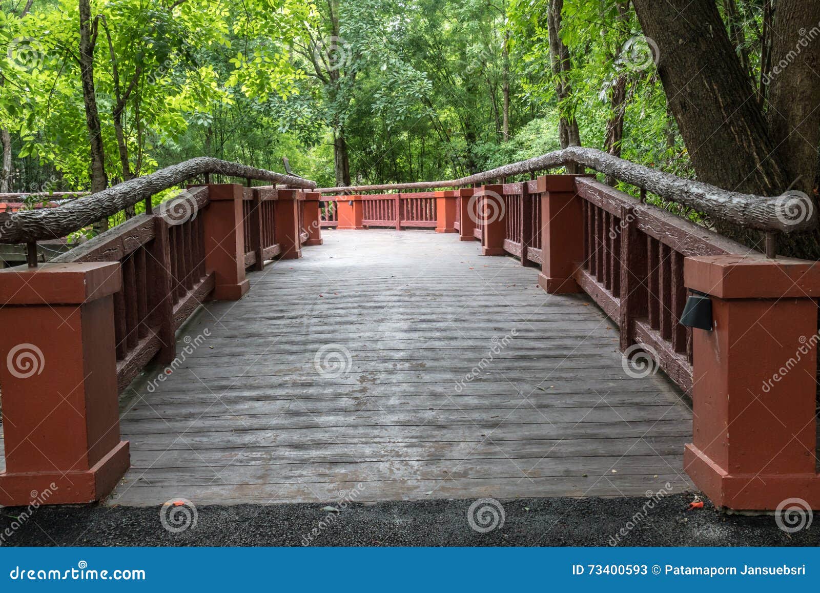 Long bridge in garden stock image. Image of scenic, water - 73400593