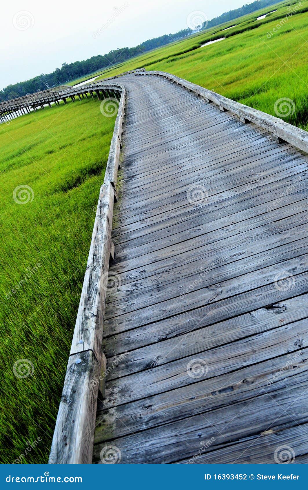 Long Bridge and Grass stock photo. Image of marsh, rustic - 16393452