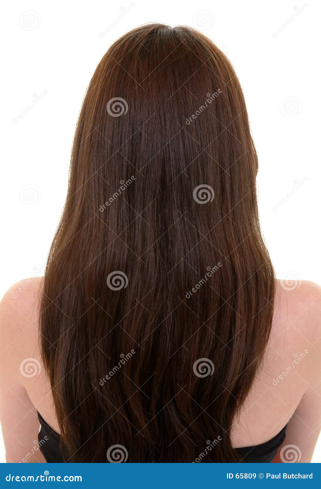 Very Long Haircuts Back View