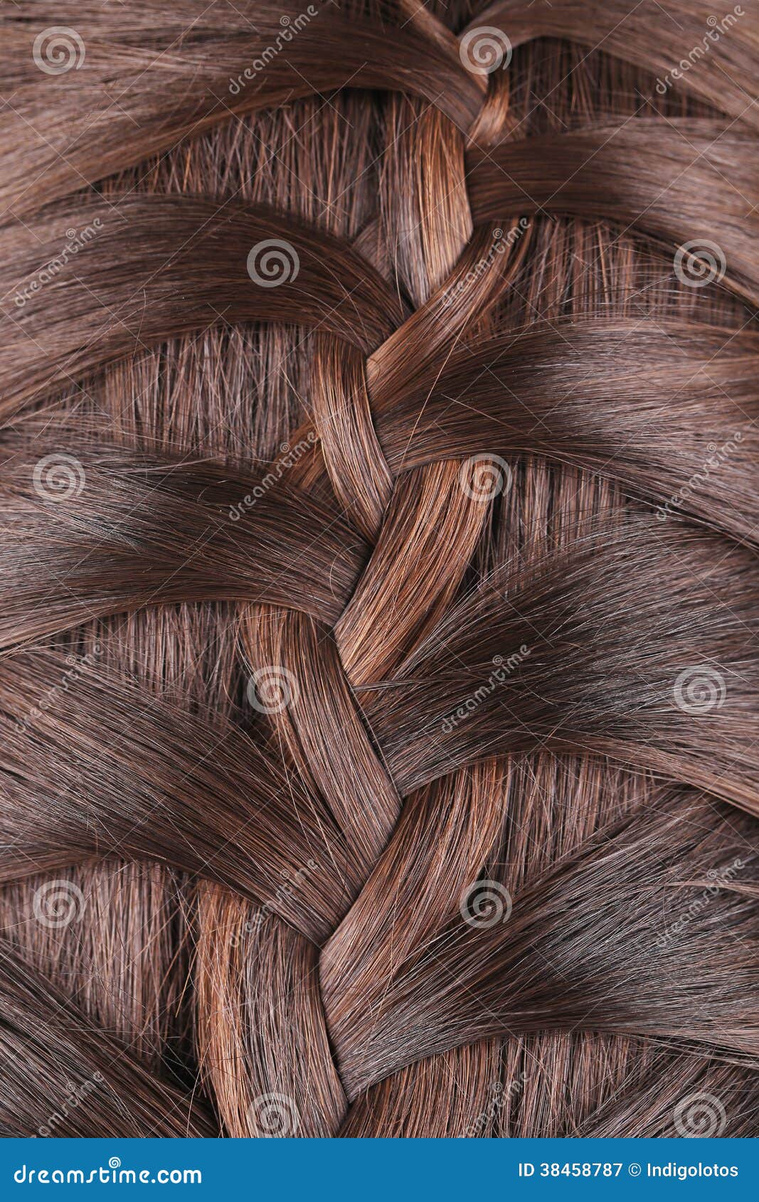 Long Brown Hair Braid. Back View Stock Image - Image of glamour, girl ...