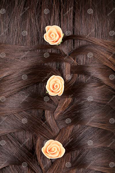Long Brown Hair Braid. Back View Stock Photo - Image of brunette ...