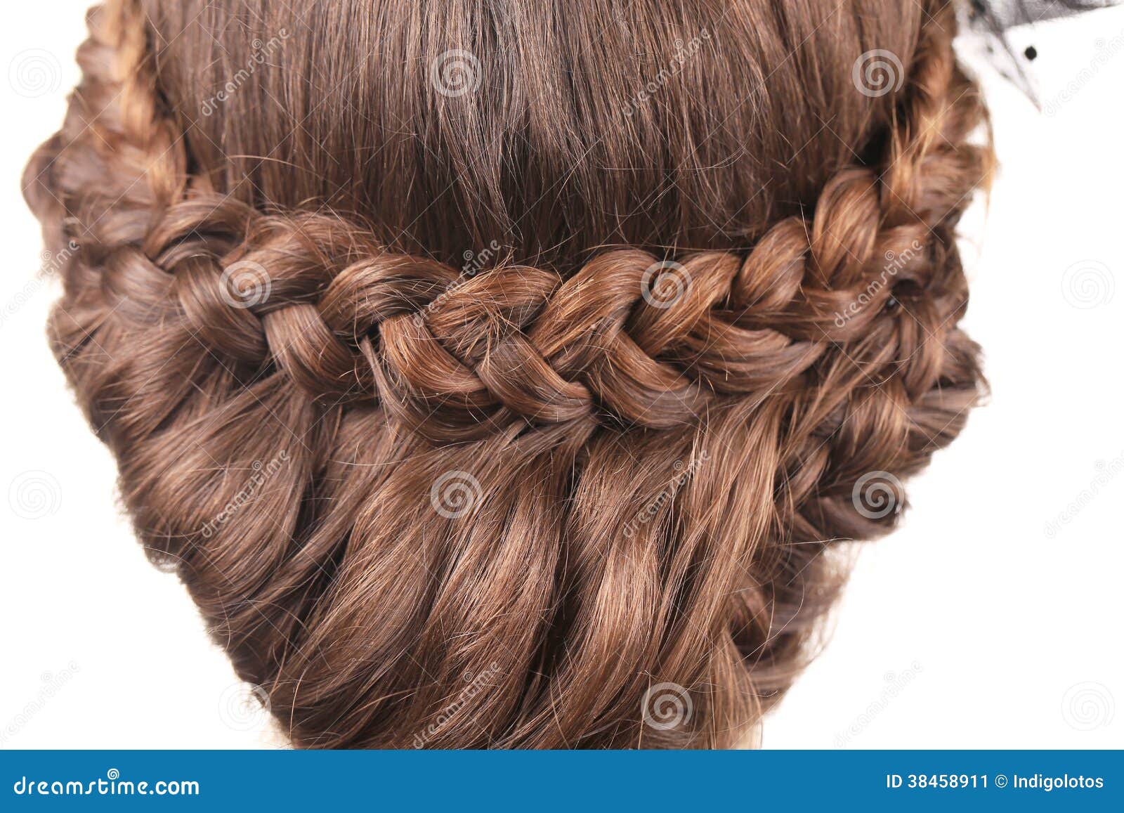 Braided Hair Back View