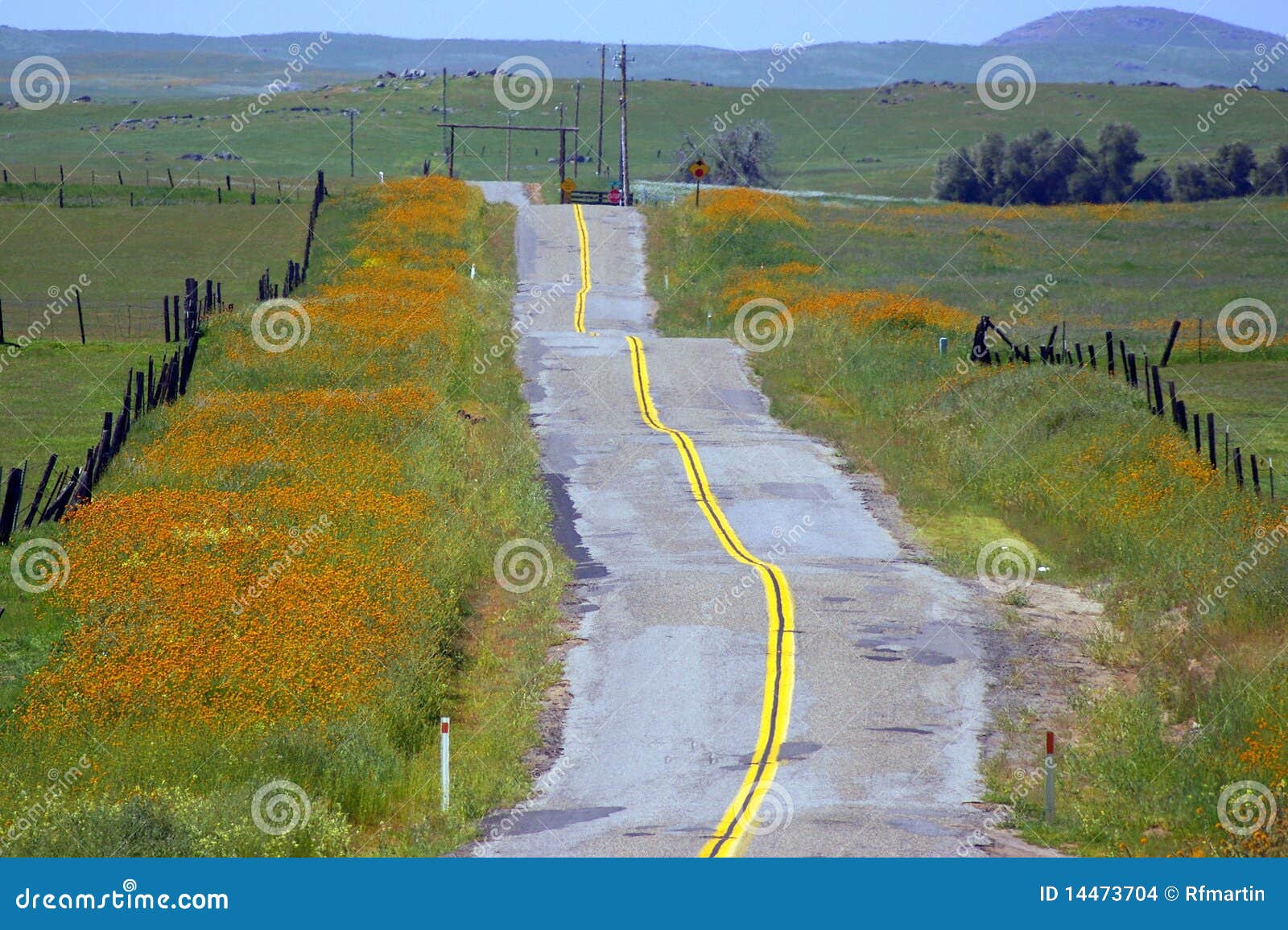 A long and bumpy road stock photo. Image of country, roads - 14473704