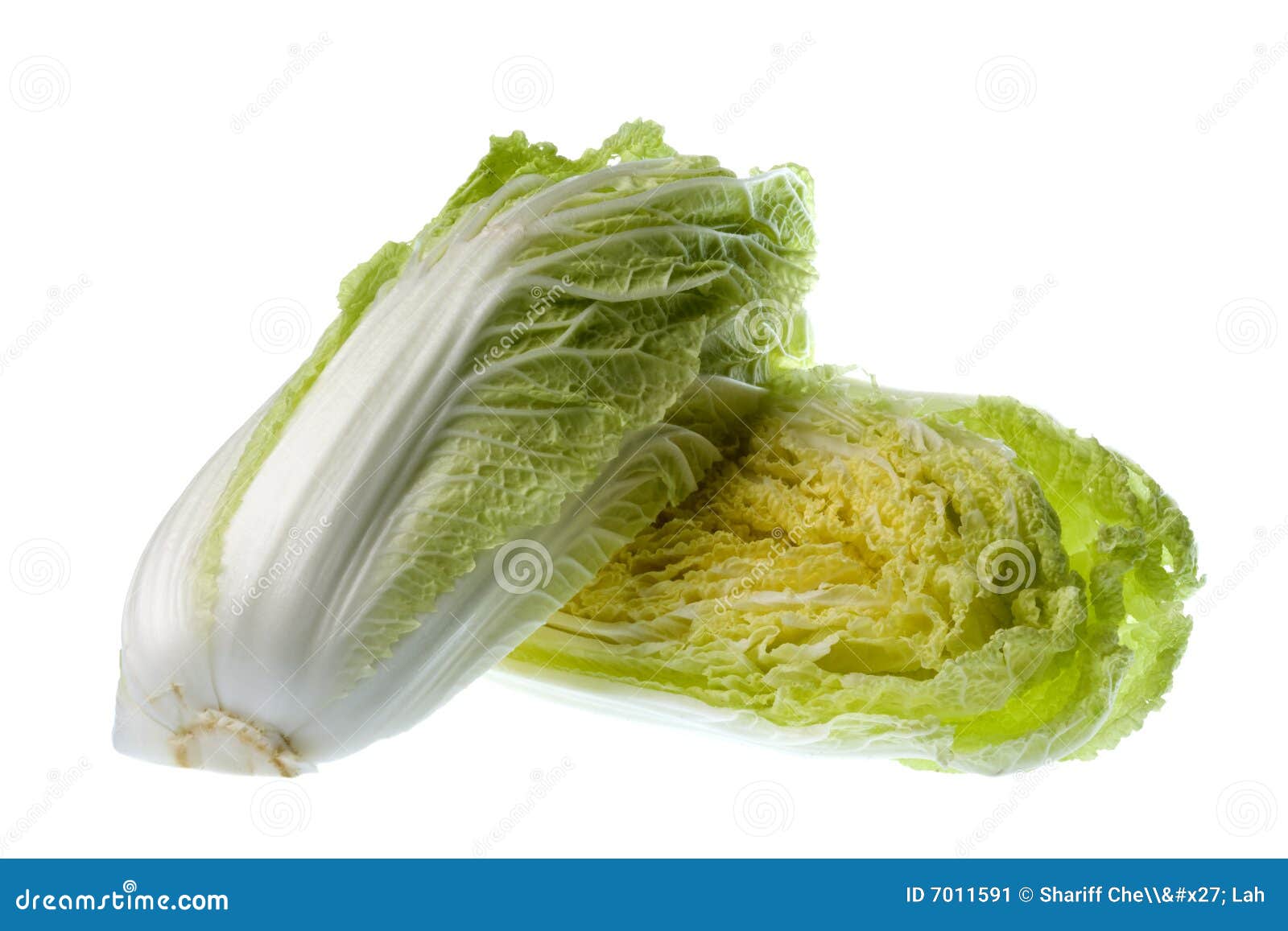 Long Cabbage Isolated stock image. Image of meal, cuisine - 7011591