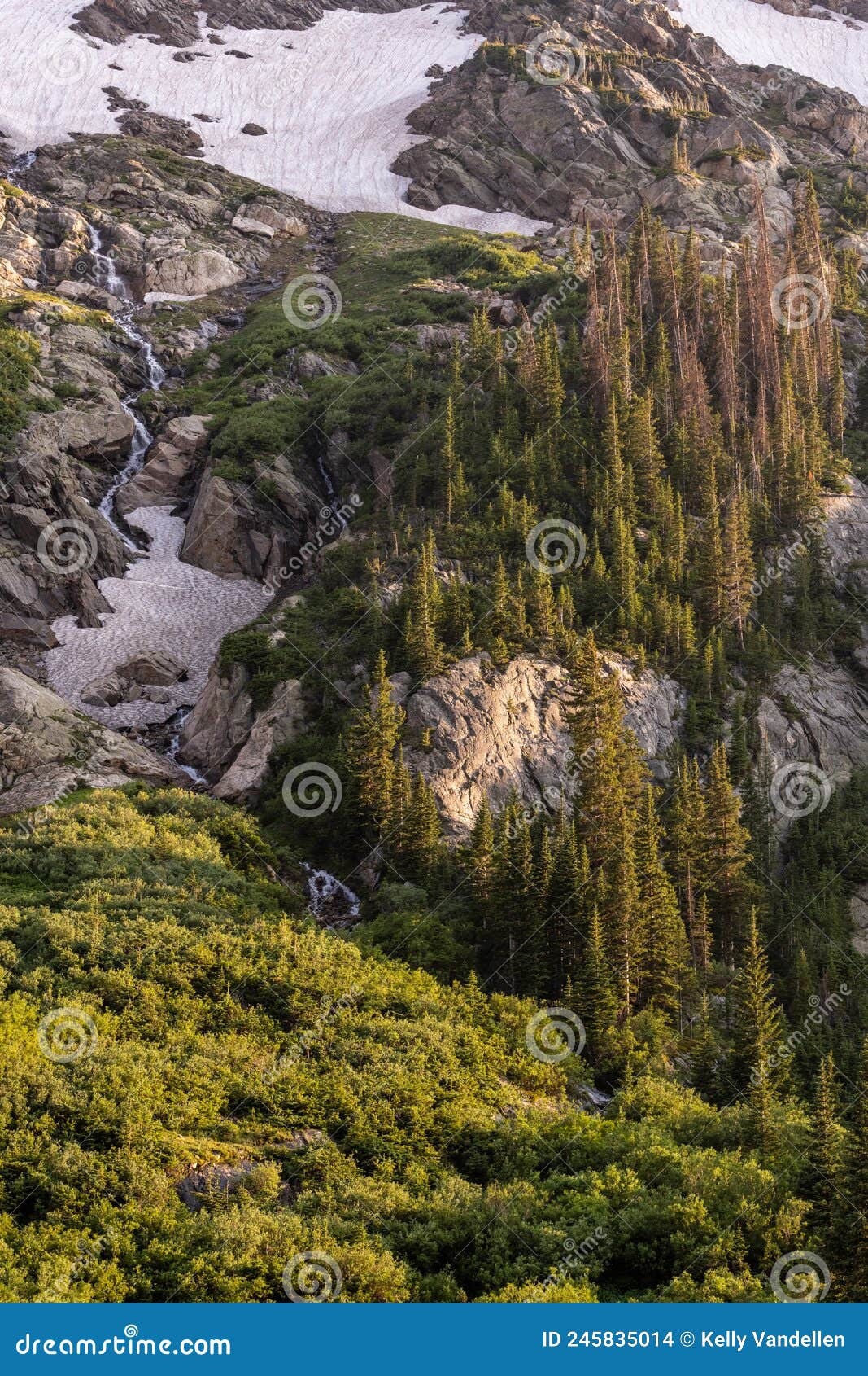 Long Cascade Tumbles Down Below Tree Line in Rocky Mountain Stock Photo ...