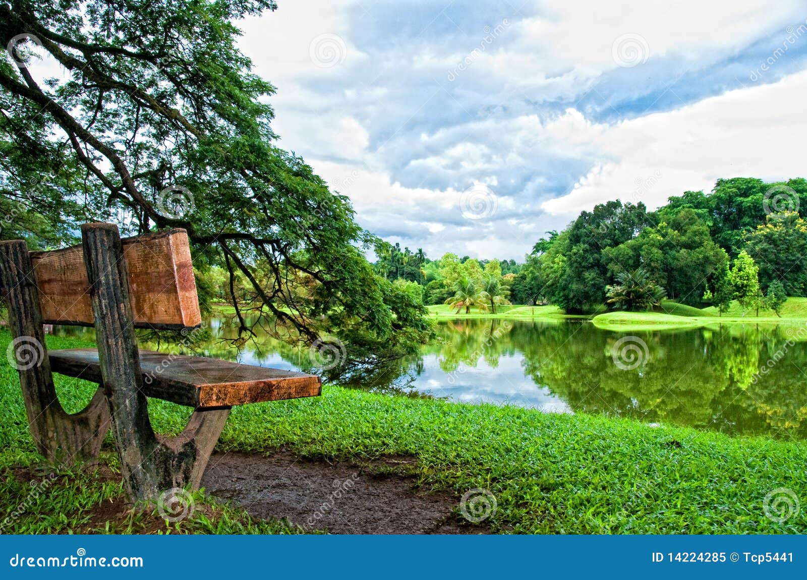 Long Chair in the Park stock image. Image of tree, garden - 14224285
