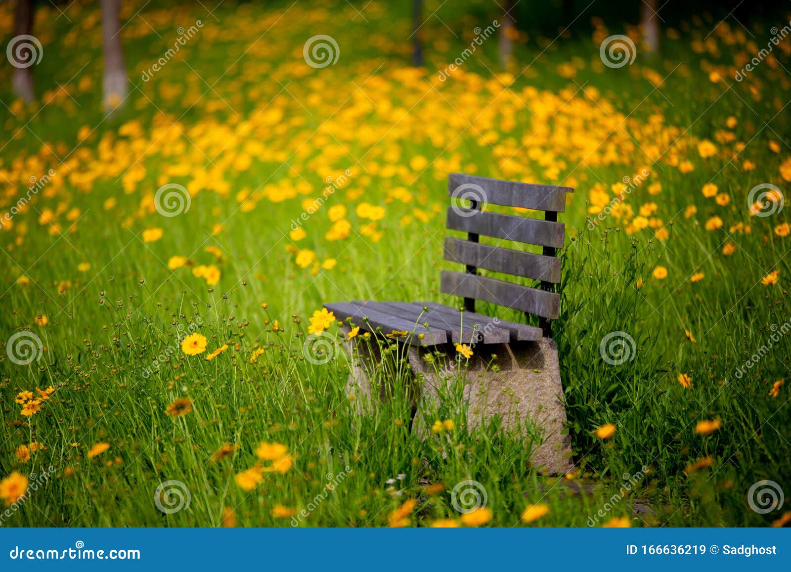 Long chair in the park stock image. Image of outdoor - 166636219