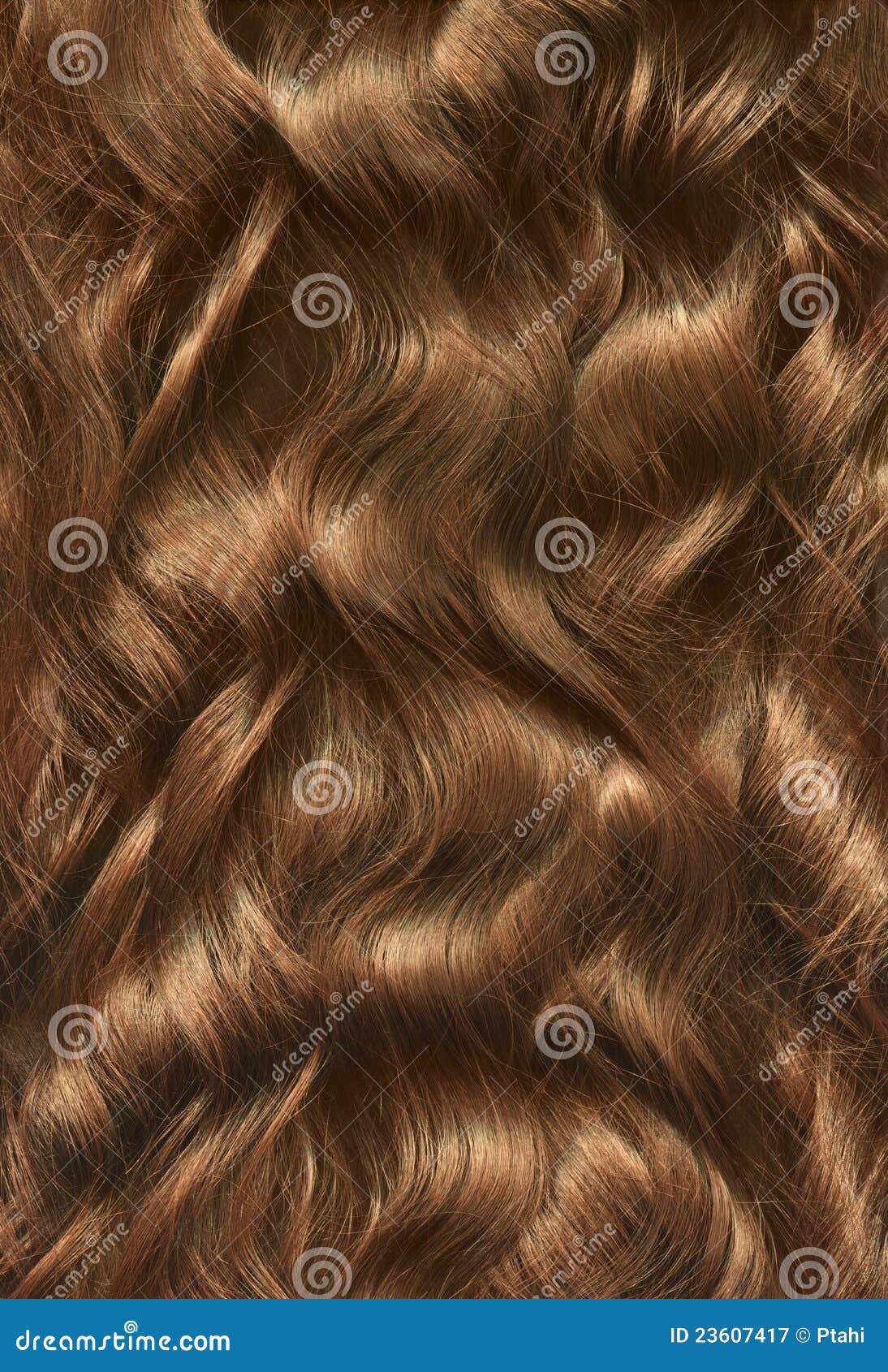 Long cheveu de femme image stock. Image du sain, brun - 23607417