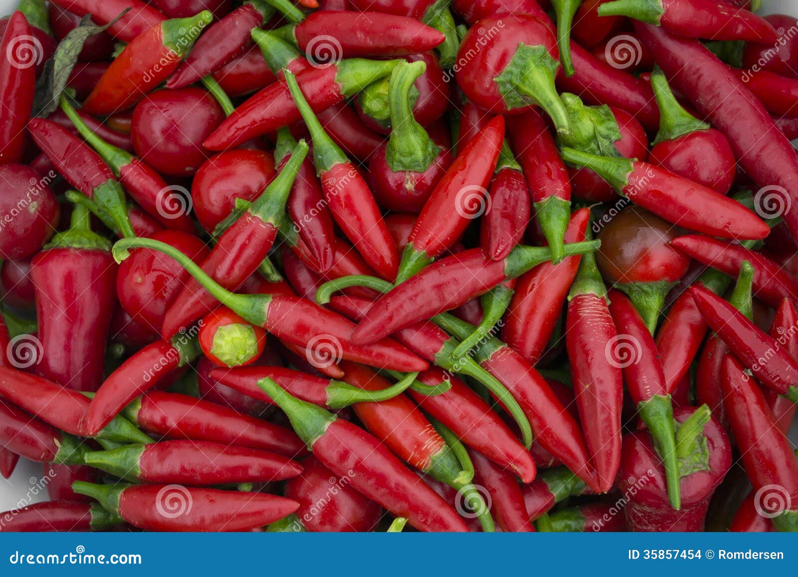 Long chilly peppers stock photo. Image of heat, organic - 35857454