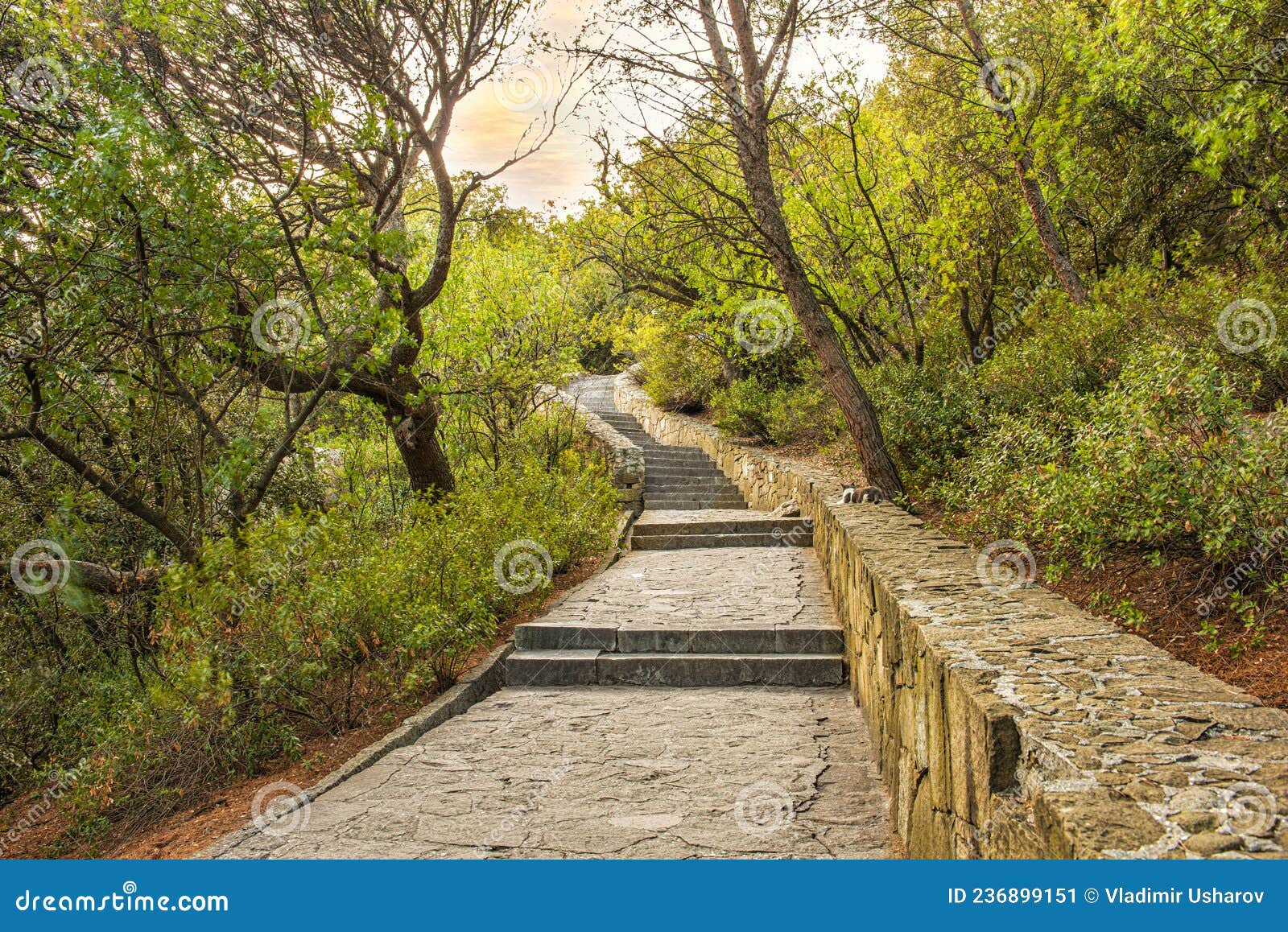 A Long Climb Up the Mountainside with Stone Steps Stock Image - Image ...