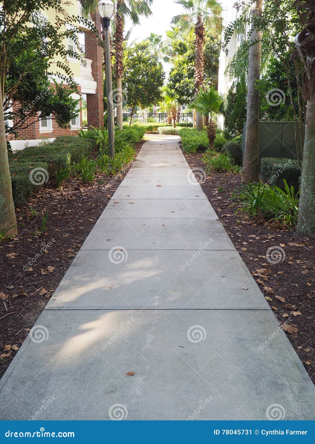 Concrete Sidewalk Background Stock Photo | CartoonDealer.com #25955226
