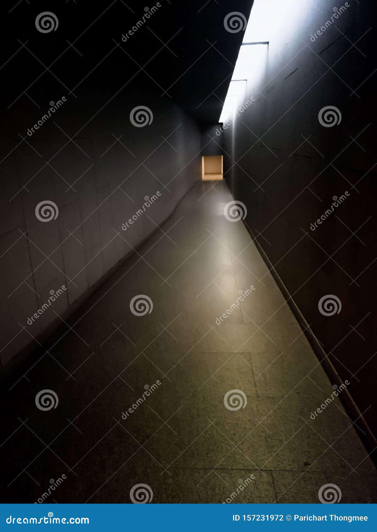 Illuminated Passage: Embracing Natural Light in Architectural Design ...