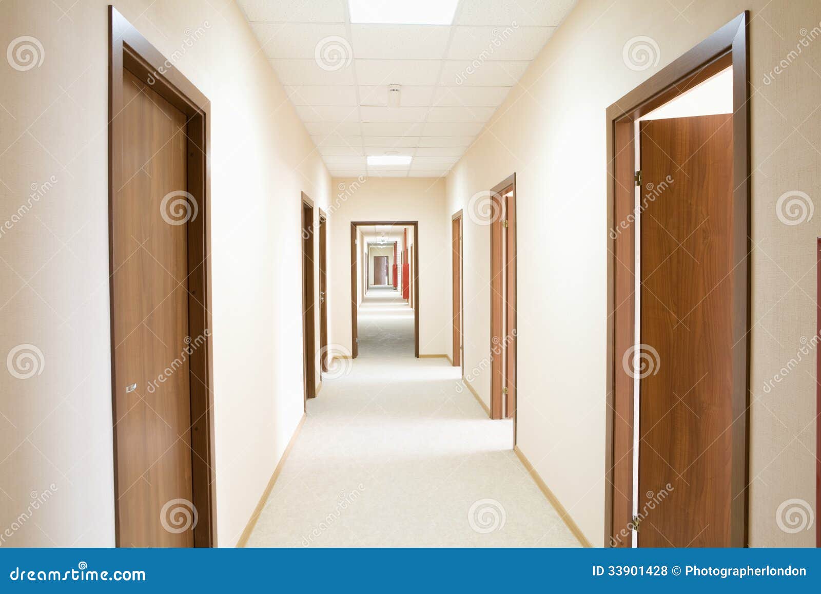 Long Corridor in Hotel stock photo. Image of office, long - 33901428