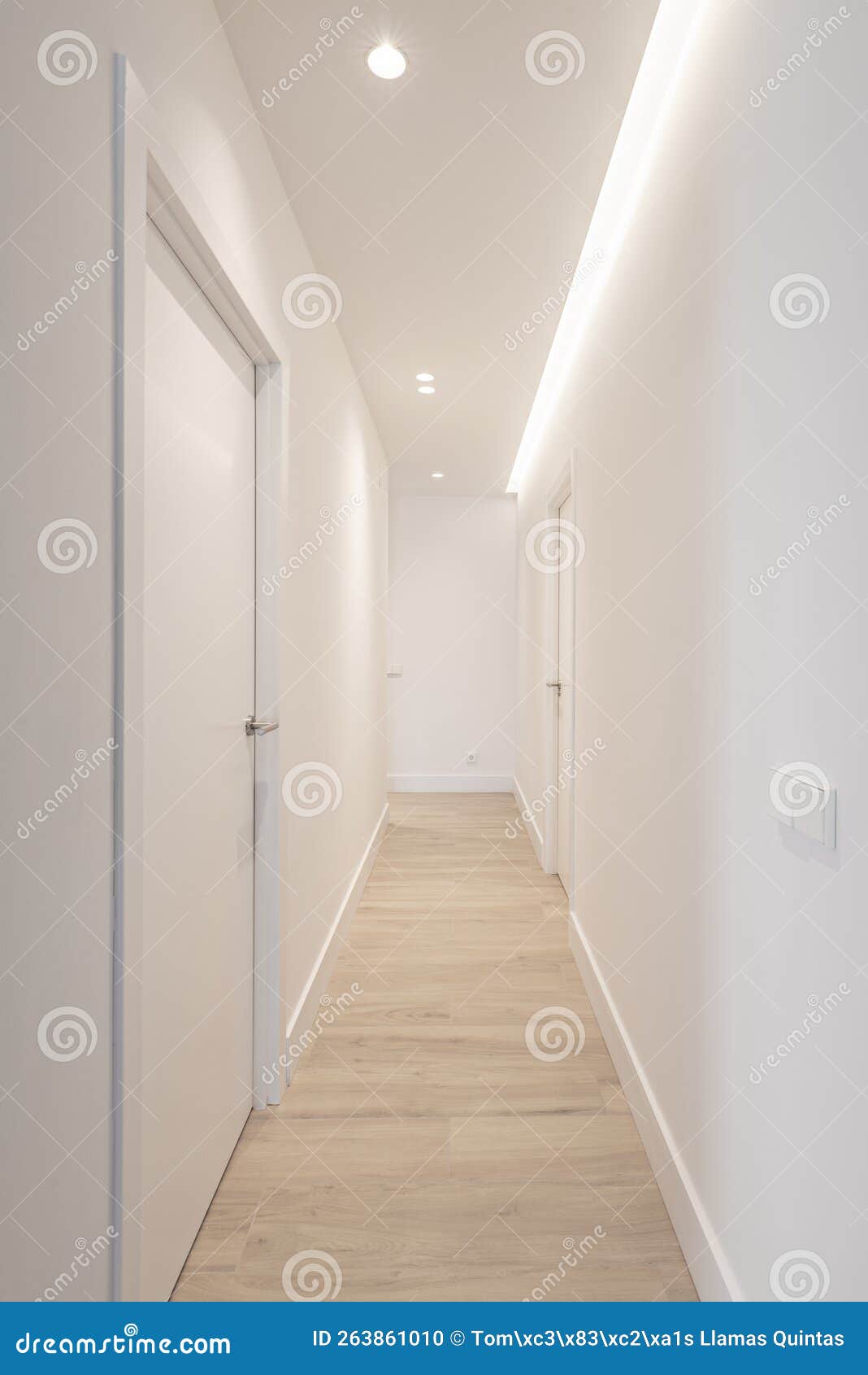A Long Corridor in a House with Smooth White Materials and Light Oak ...