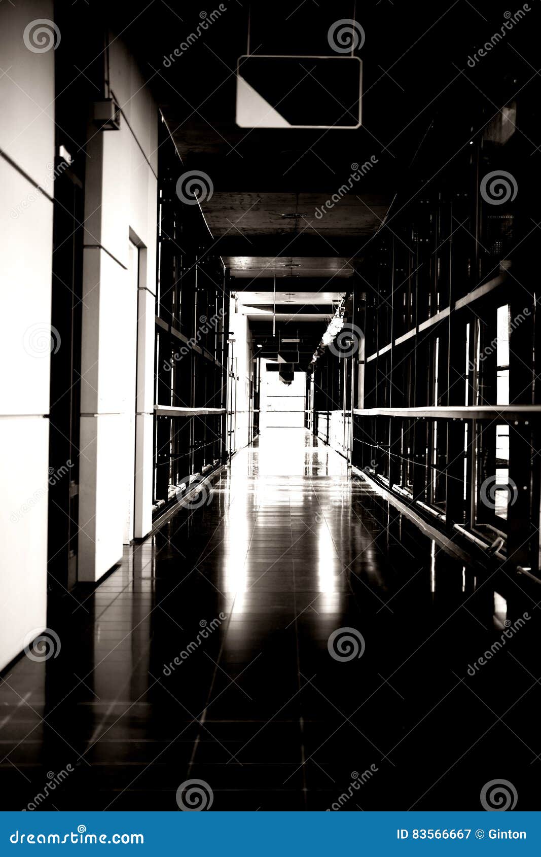 Long corridor stock image. Image of clean, filter, sunlight - 83566667