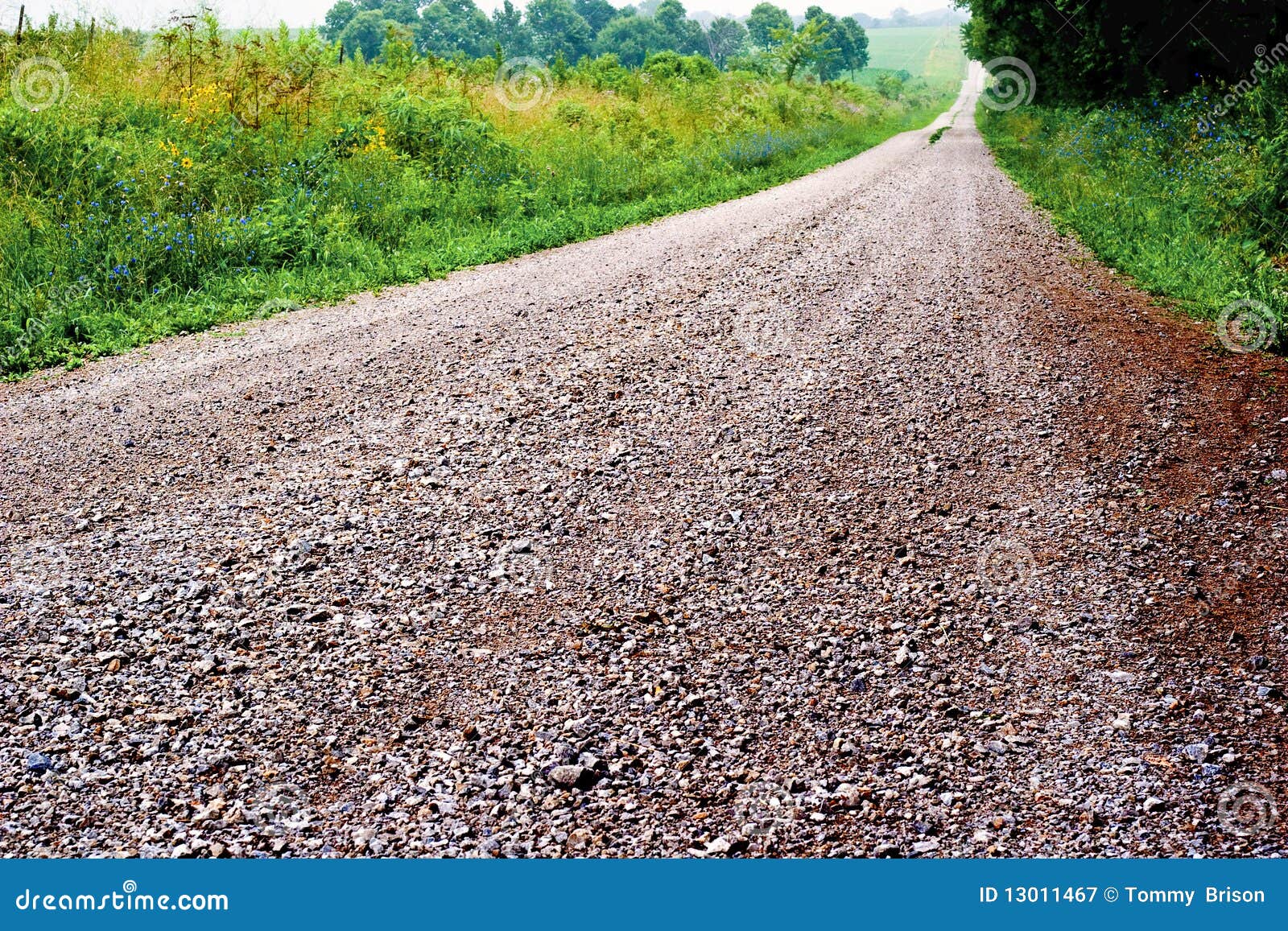 Long Country Road stock image. Image of hillside, gravel - 13011467