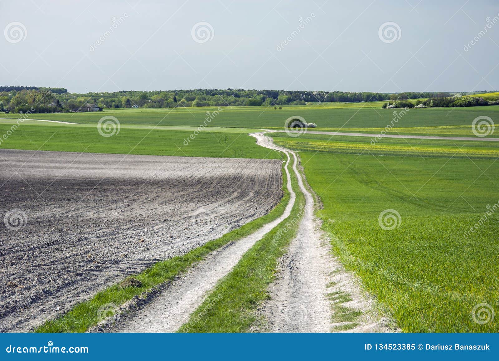 Long Country Road and Fields Stock Image - Image of nature, lane: 134523385