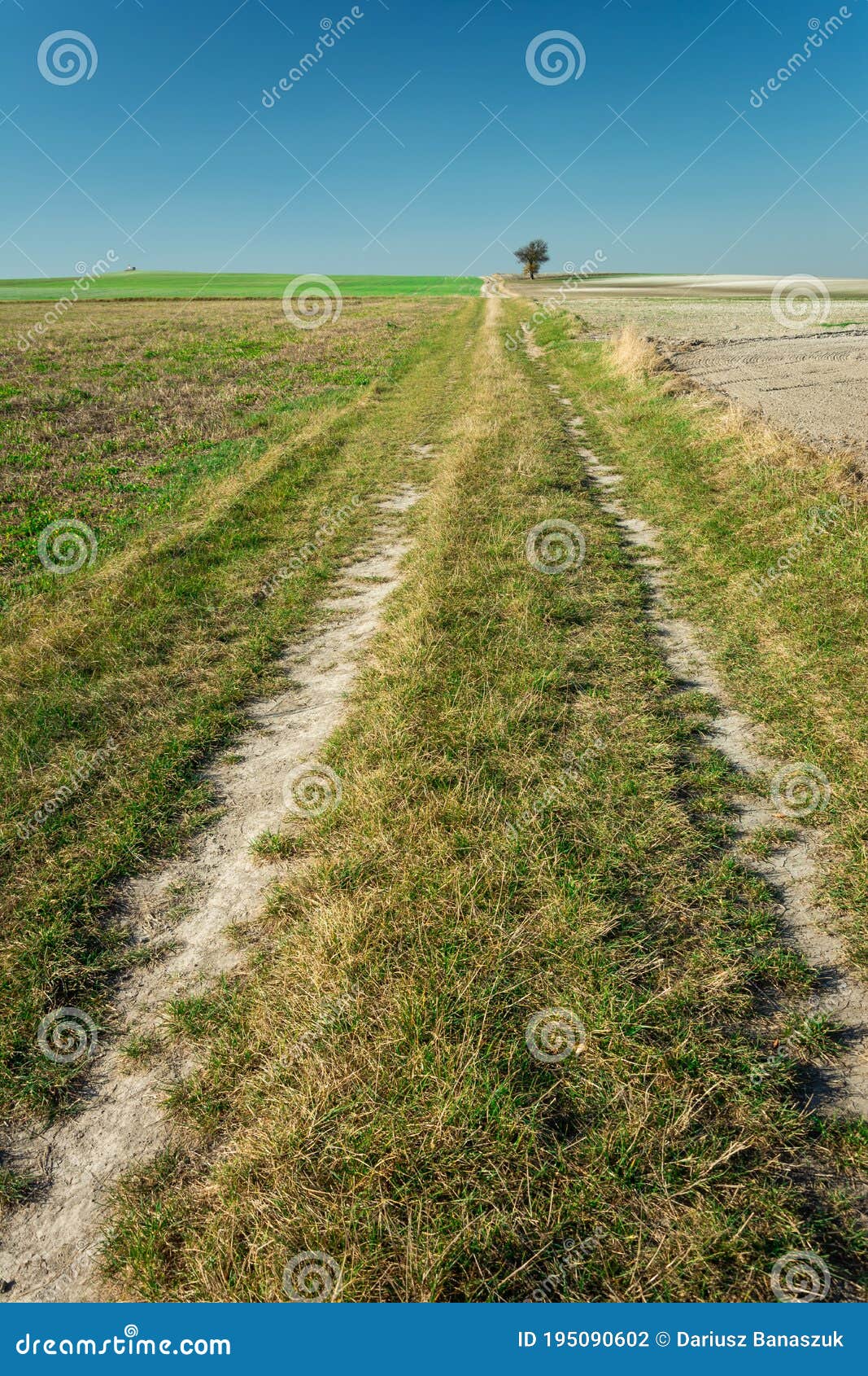 Long Country Road, Tree and Blue Sky Stock Photo - Image of people ...