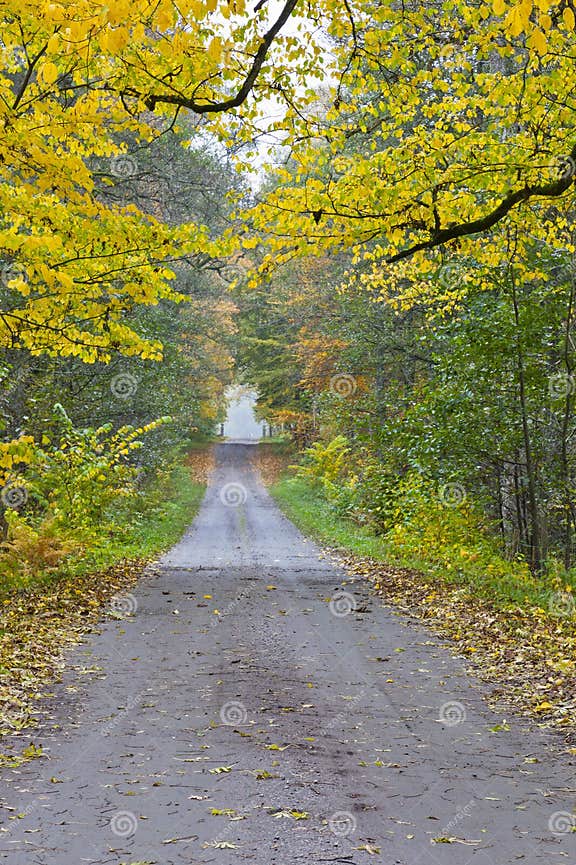 Long countryside road stock photo. Image of scene, roadside - 20988072