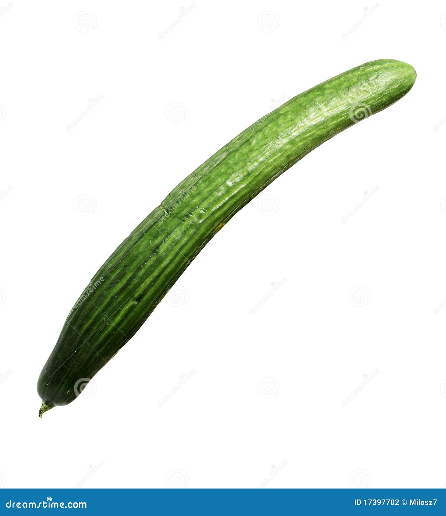Long cucumber stock photo. Image of close, culture, healthy - 17397702