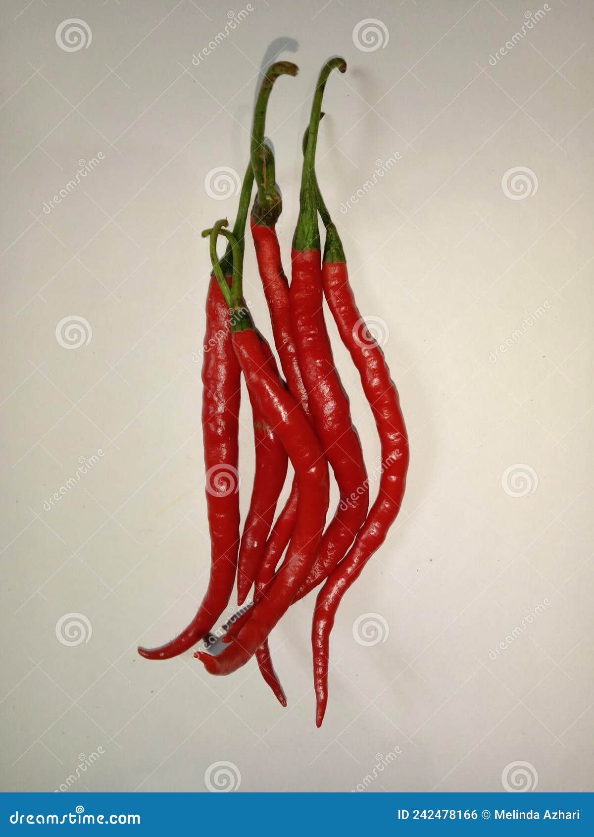 Long Curly Red Chili, Delicious Spicy Stock Photo - Image of chili ...