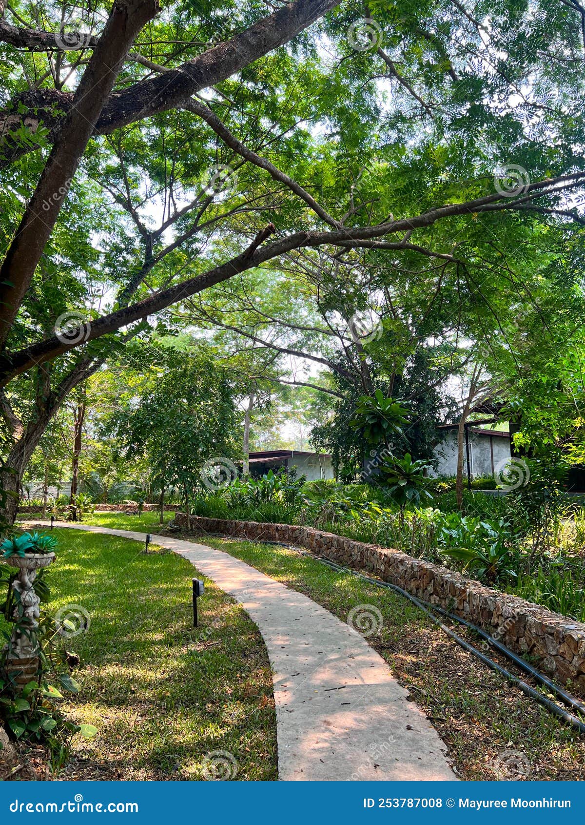Long Curve Wooden Boardwalk Footpath Of Beach In Canos Meca Stock ...