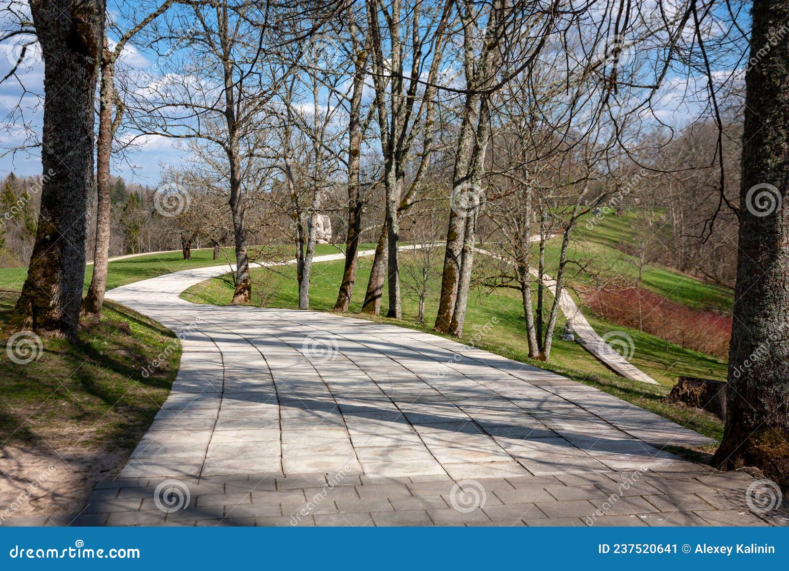 Long Curve Pathway in a Spring Green Park Stock Image - Image of green ...