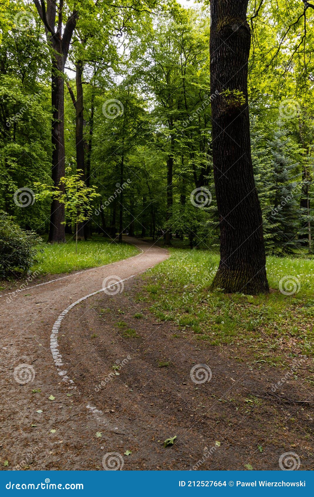 Long Curvy Path in Park with Trees and Bushes Stock Photo - Image of ...
