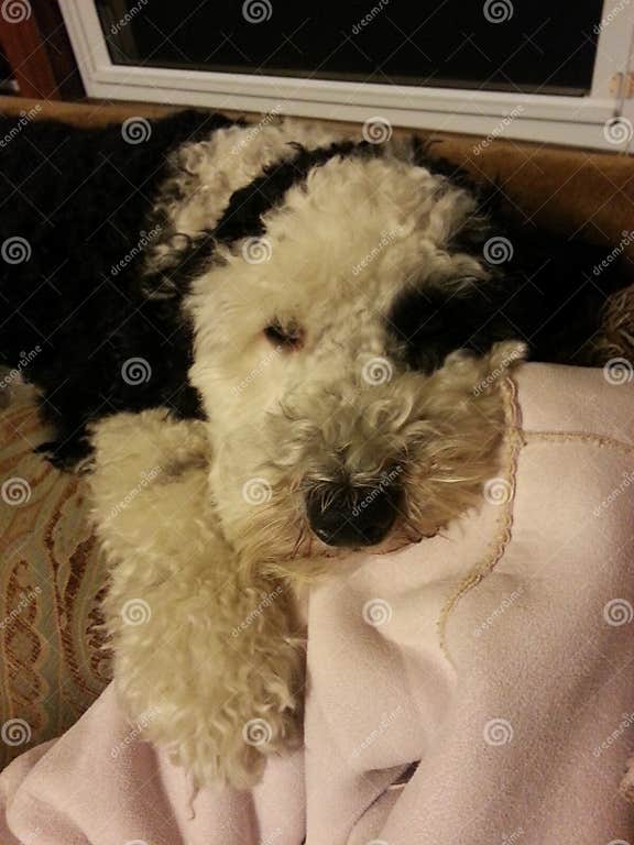 Long day stock photo. Image of tired, long, playi - 46341704