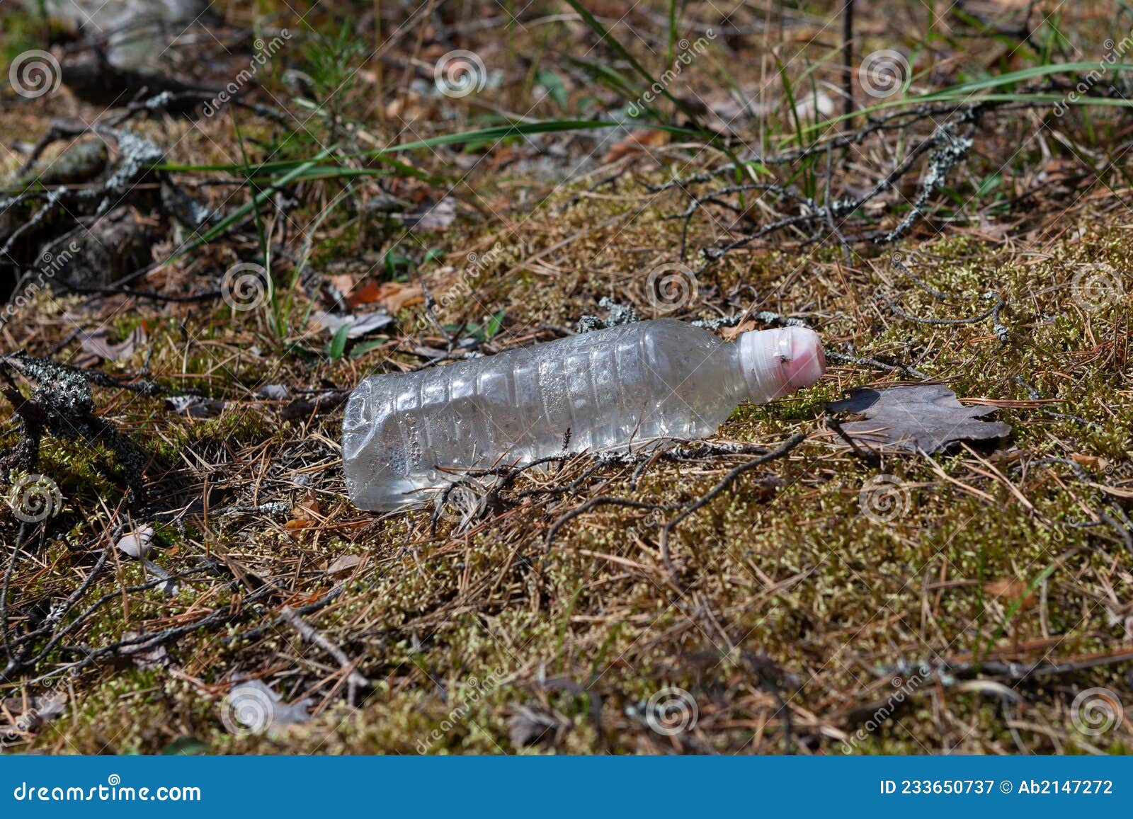 Long Decaying Waste in Nature. Disposable Plastic Bottle Has Long Been ...