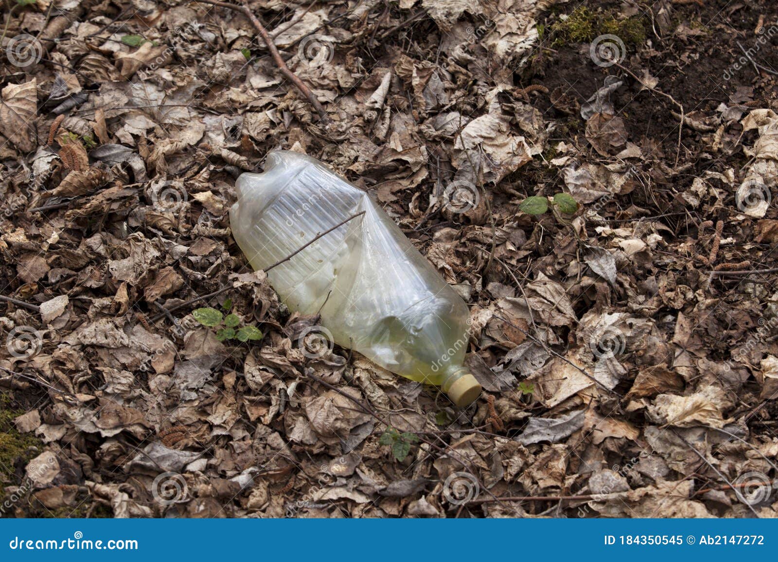 Long Decaying Waste in Nature. a Plastic Bottle from Under the Drink ...