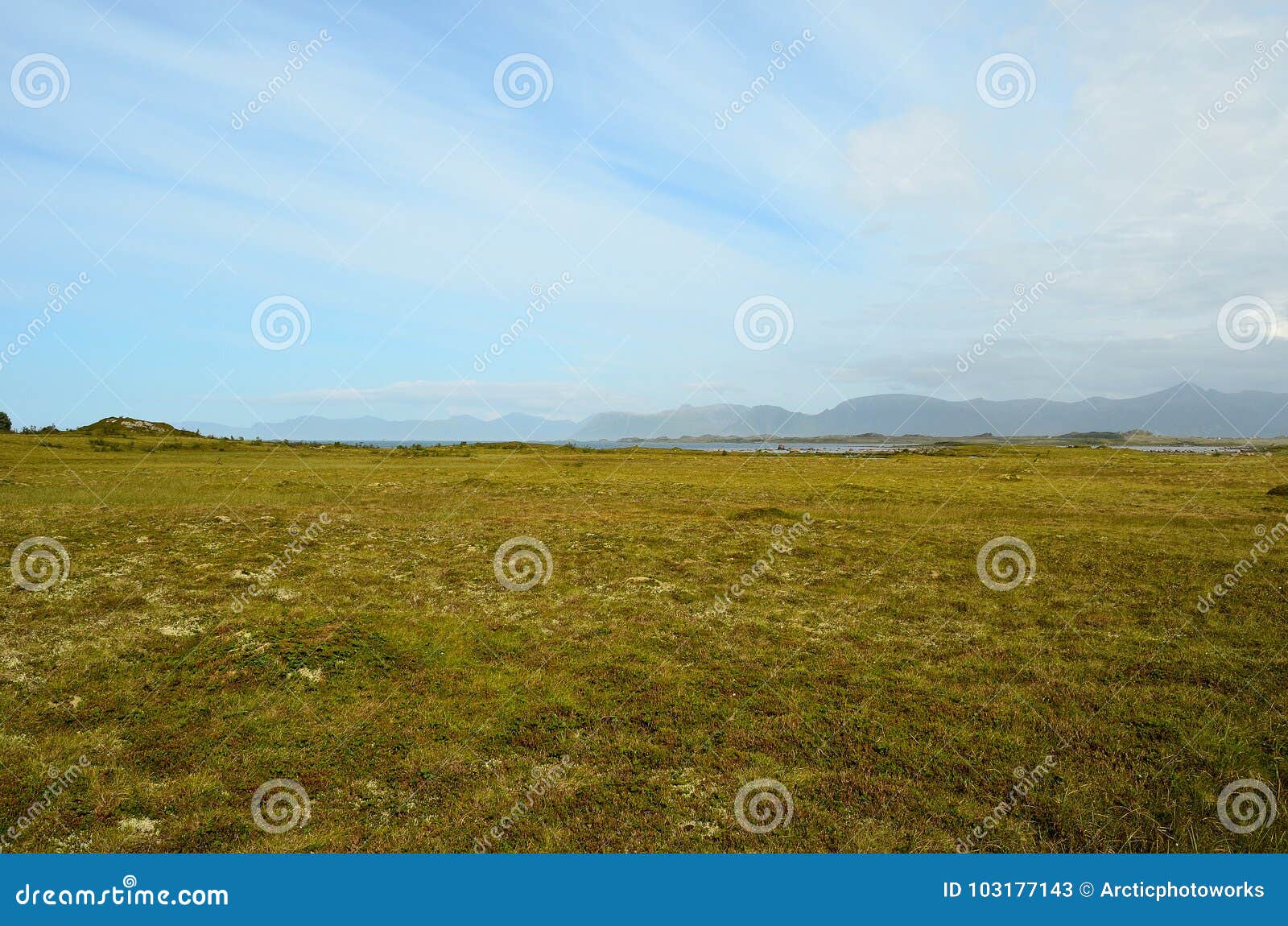 Long Deep Field Near Seashore with Blue Summer Sky Stock Image - Image ...