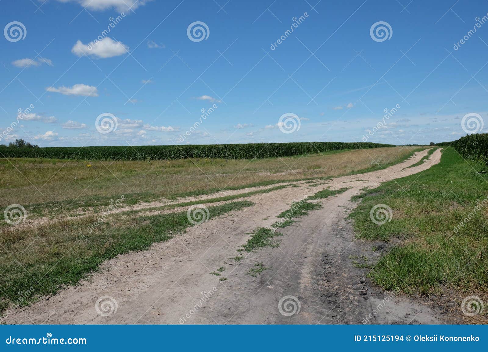 Long Dirt Road in a Field Under a Blue Sky. Scenery Stock Photo - Image ...