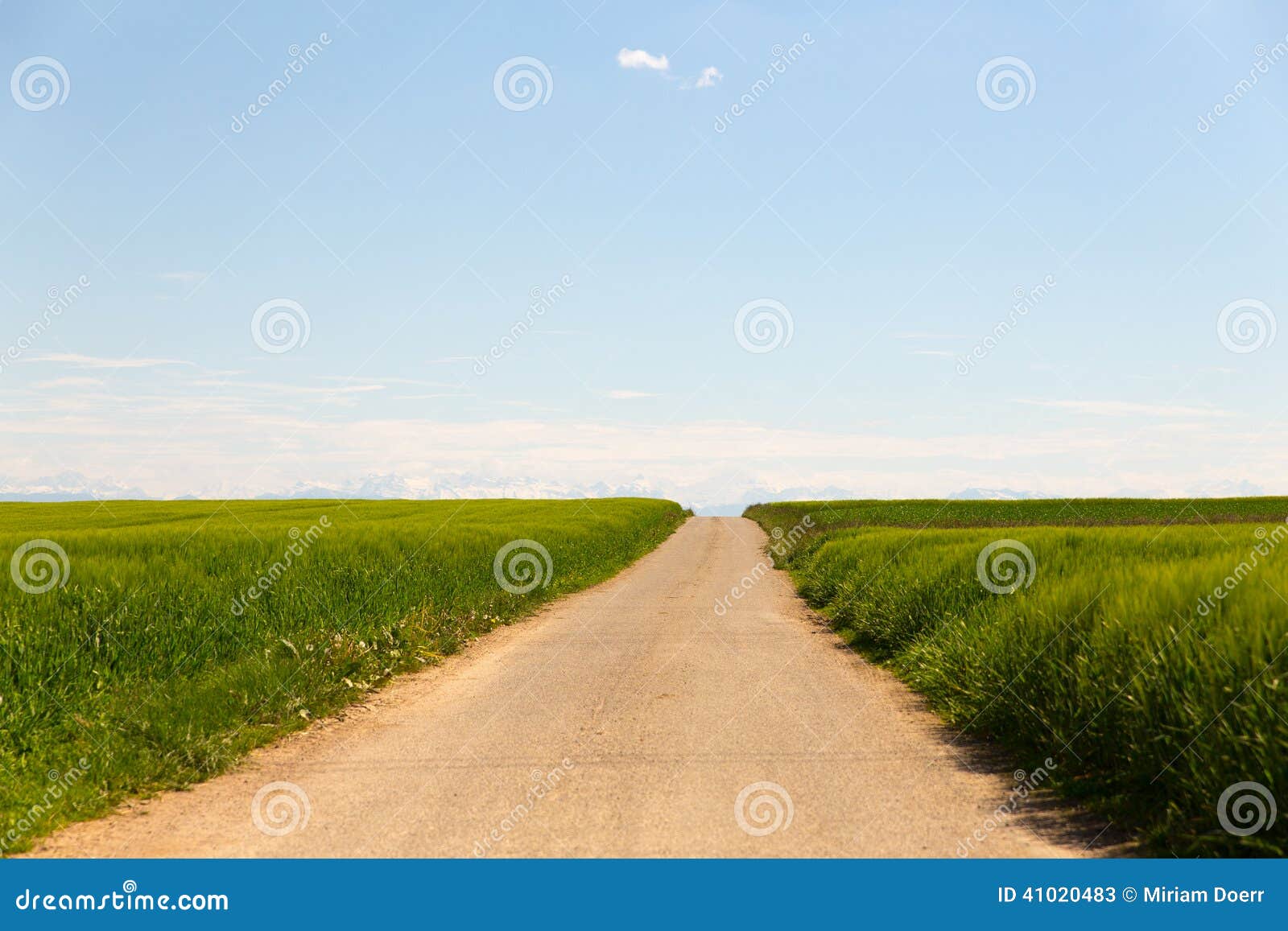 Long Dirt Road through Fields Stock Image - Image of grosser, holiday ...