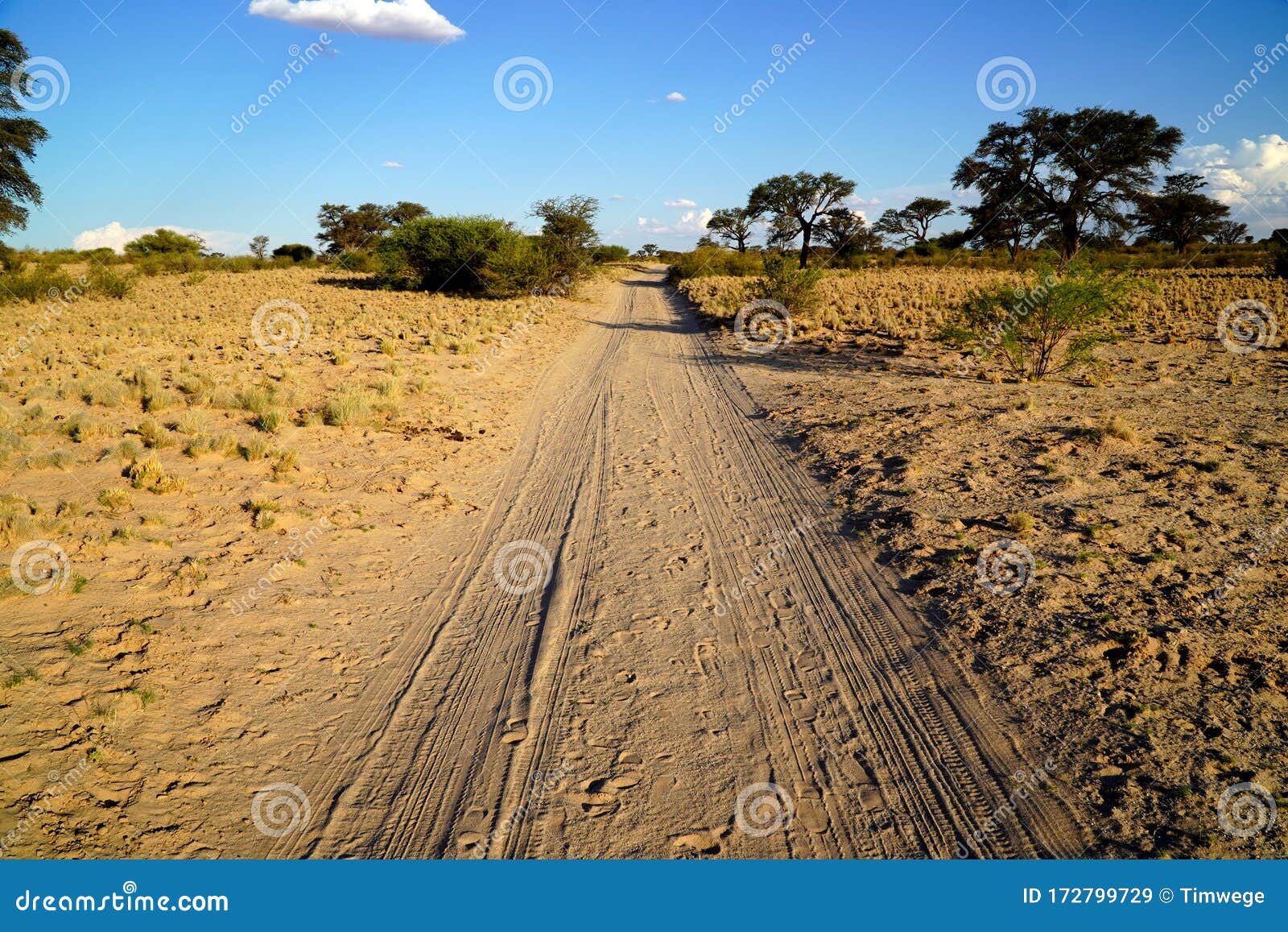 Long Dirt Road Through Fields, Group Of Trees Stock Photography ...